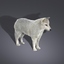 3d wolves v2 wolf model
