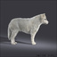 3d wolves v2 wolf model