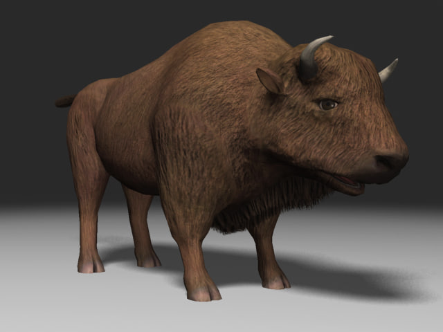 buffalo animation 3ds