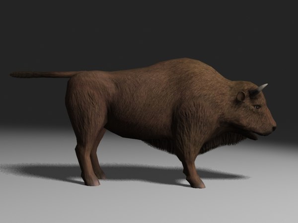 buffalo animation 3ds