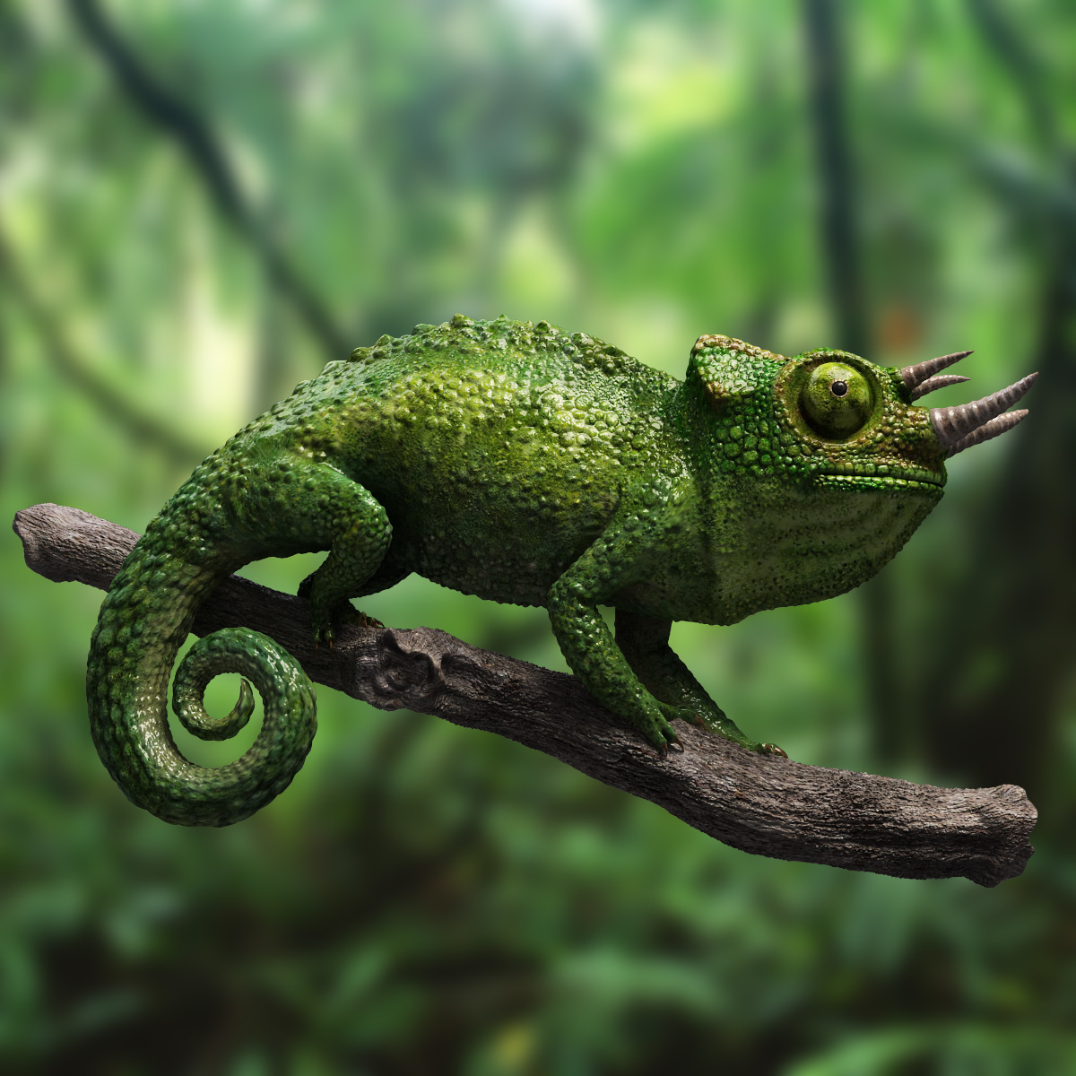 green chameleon lizards max