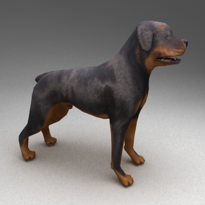 rigged rottweiler 3d model