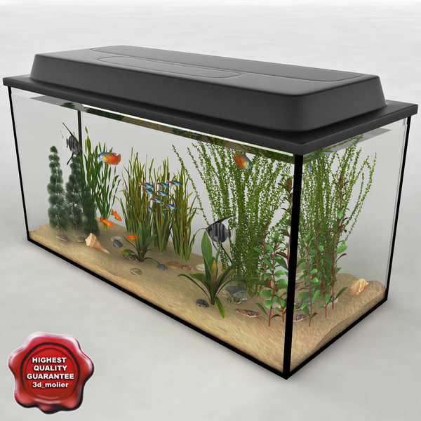 3ds max aquarium fishbowl