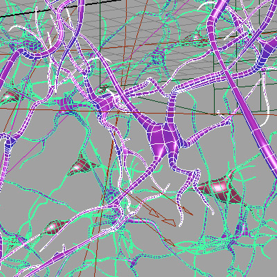 neurons animation 3d model