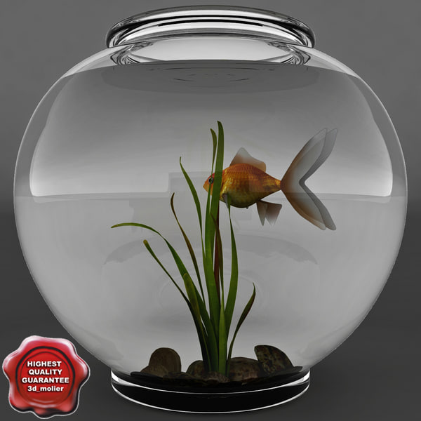 3ds max aquarium fishbowl