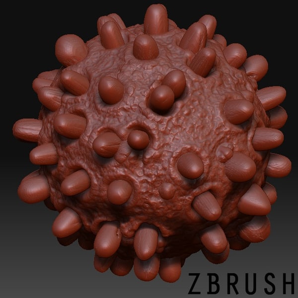 hepatitis b virus 3d model