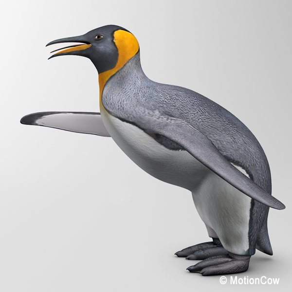 penguin 3d model