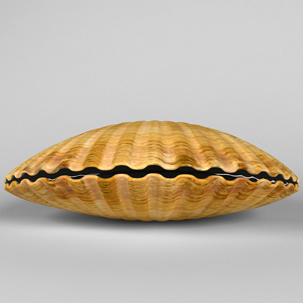 marine scallop pecten shell 3d model