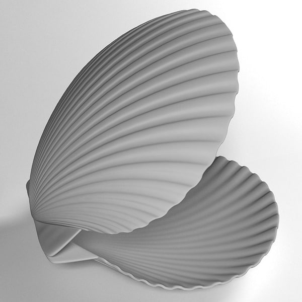 marine scallop pecten shell 3d model