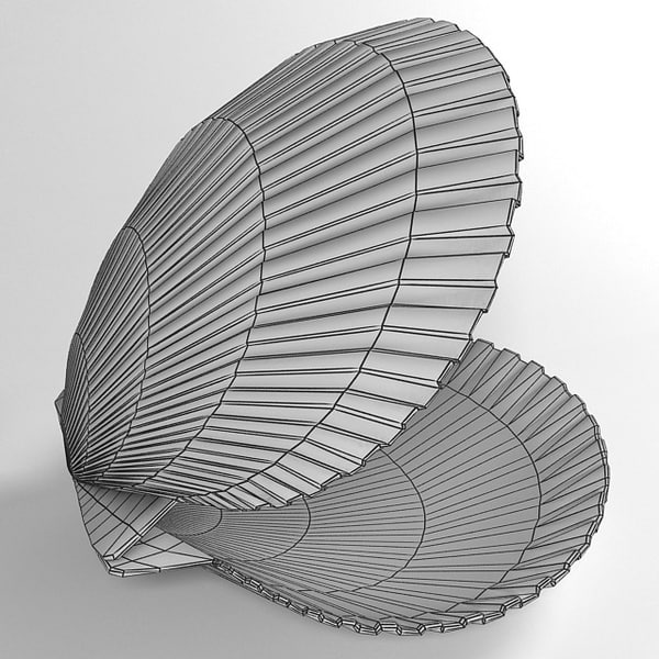 marine scallop pecten shell 3d model