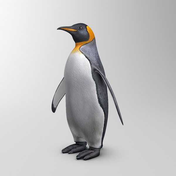 penguin 3d model