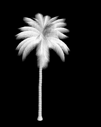 palm tree 3d