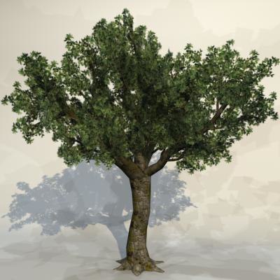 3d tropic level ps2 trees bushes model