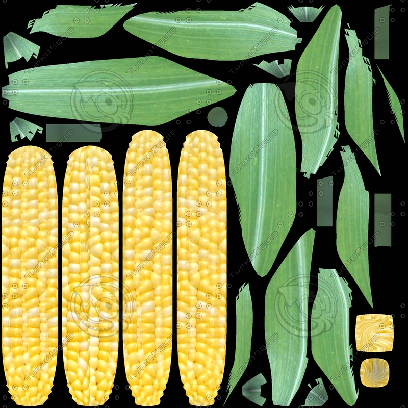 corn cob 3d model