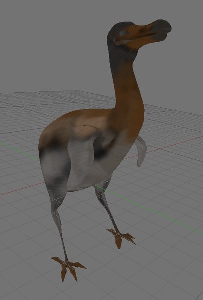 dodo bird 3d model