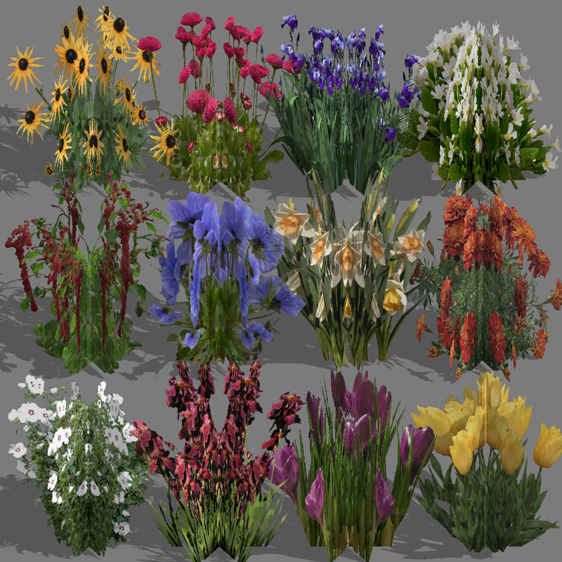 flowers polygons 3d 3ds