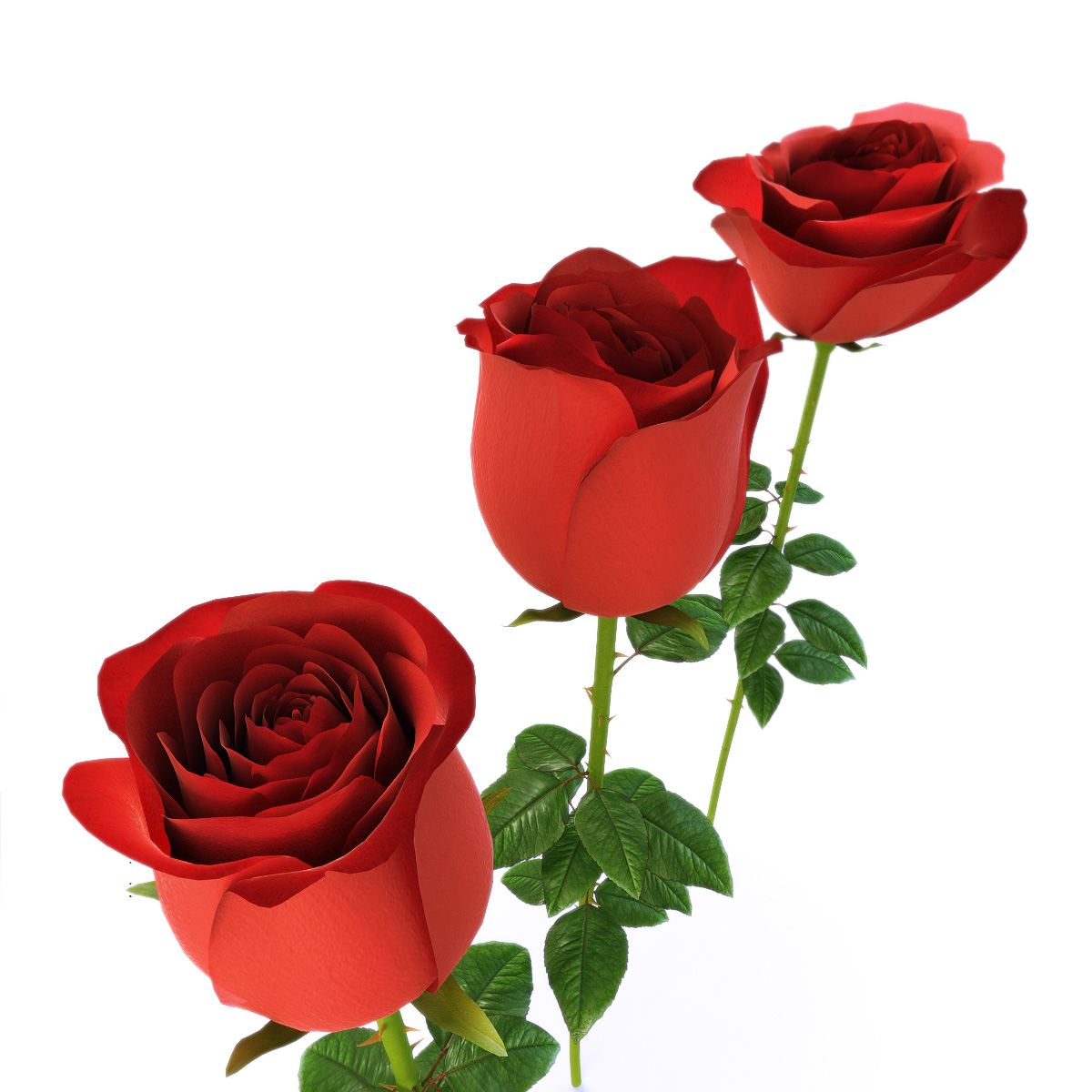 realistic roses 3d model