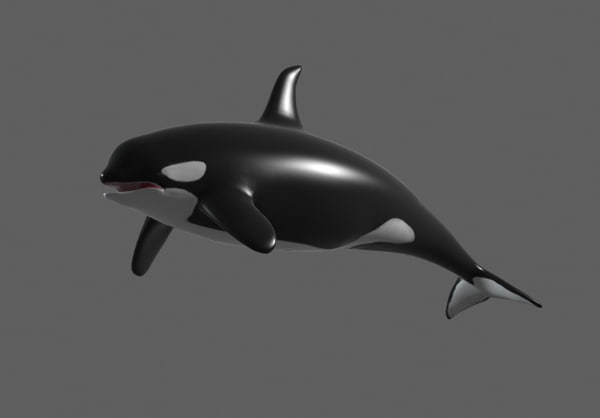 3D Orca Models | TurboSquid