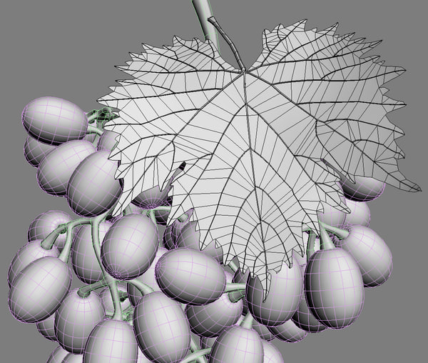 realistic grapes black 3d model