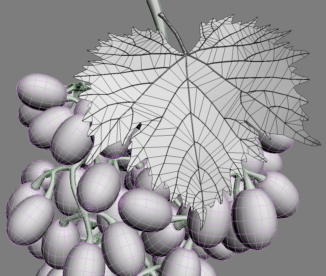 realistic grapes black 3d model