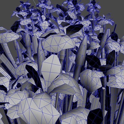 iris plants flowers 3d model