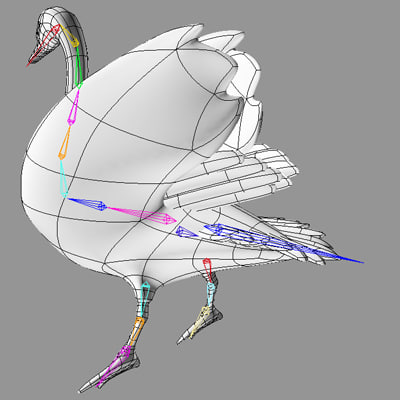 swan swimming walking 3d model