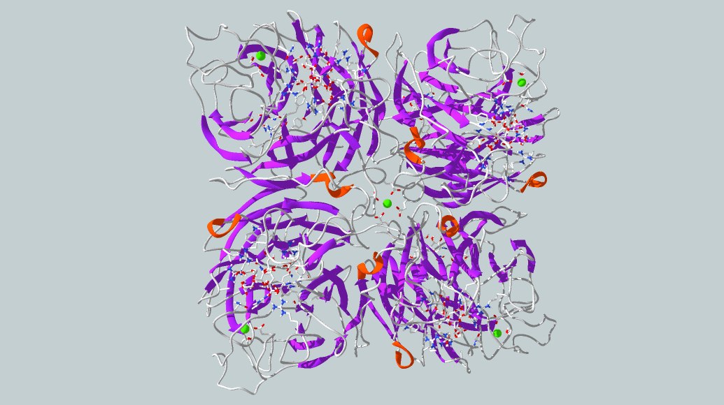 influenza virus 3d model