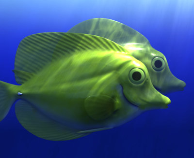 yellow tang 3d model