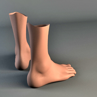 3d human foot model