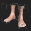 3d human foot model