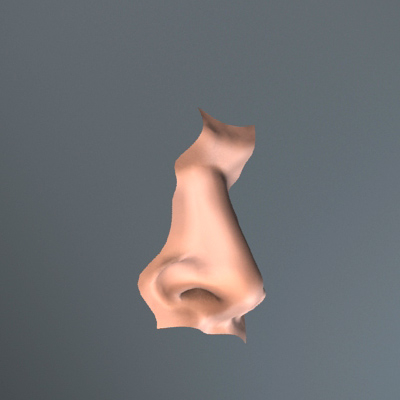 nose human 3d model