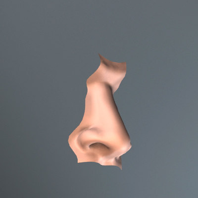 nose human 3d model