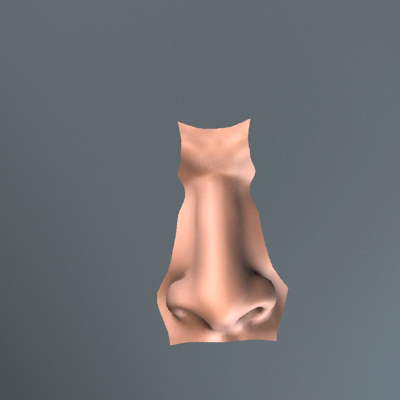nose human 3d model