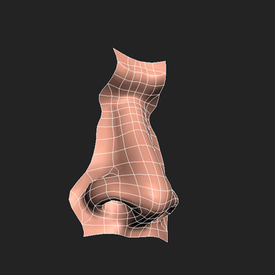 nose human 3d model