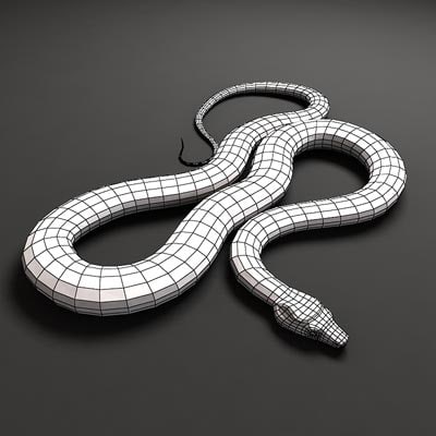 black smooth python snakes 3d model