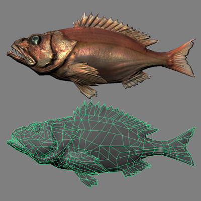 fish 3d model
