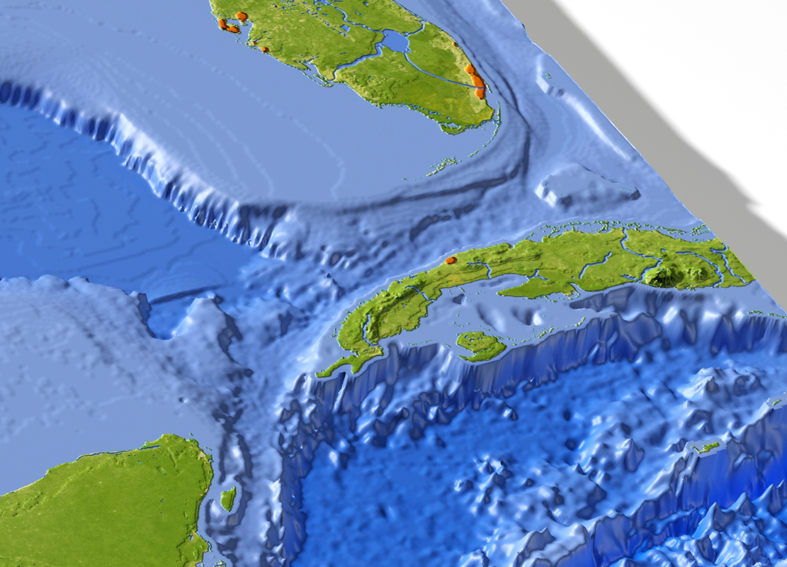 Zatoka Meksykańska, mapa reliefowa 3D o wysokiej r Model 3D ...