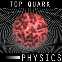quark particle max