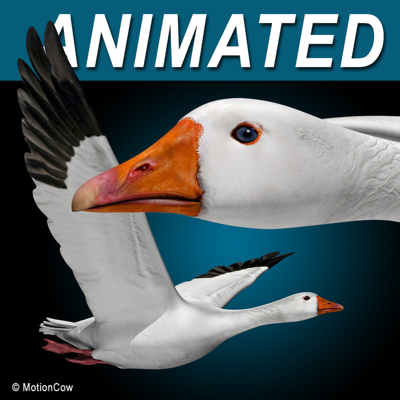 flying goose 3d model