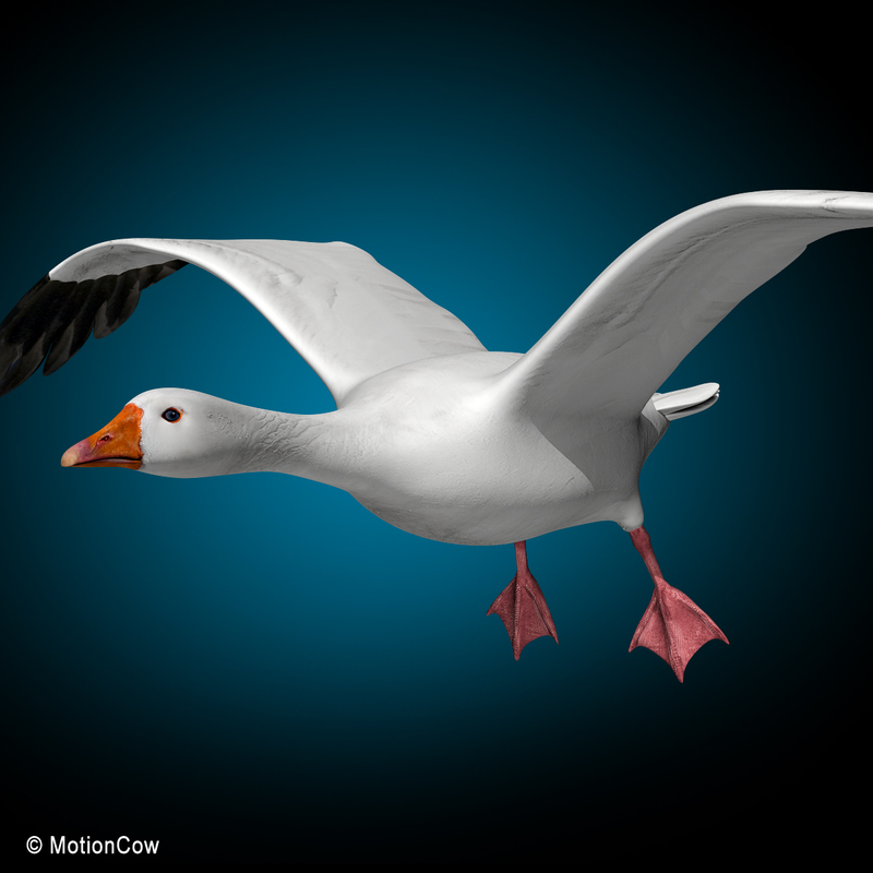 flying goose 3d model