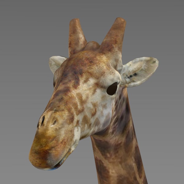 giraffe obj