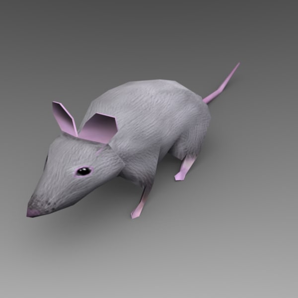 3d cute rat animations
