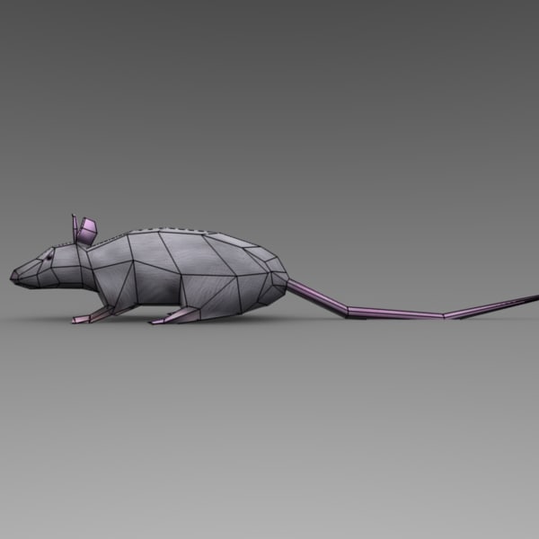 3d cute rat animations