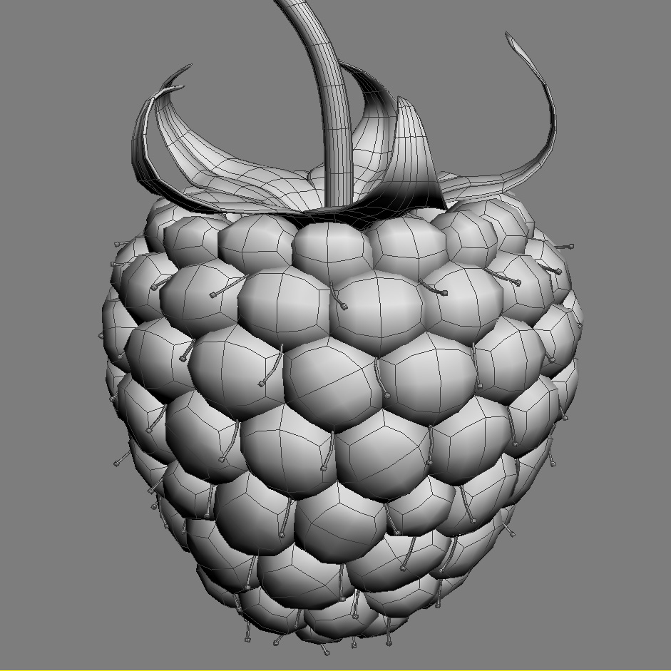 realistic raspberry 3d model