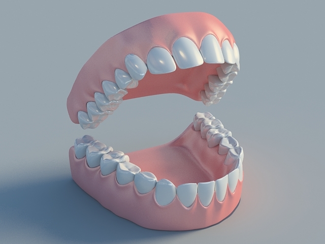 human teeth 3d model
