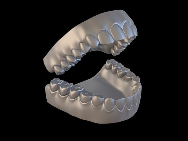 human teeth 3d model