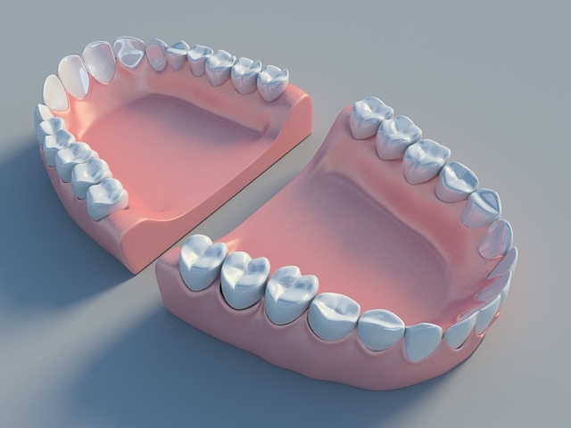 human teeth 3d model