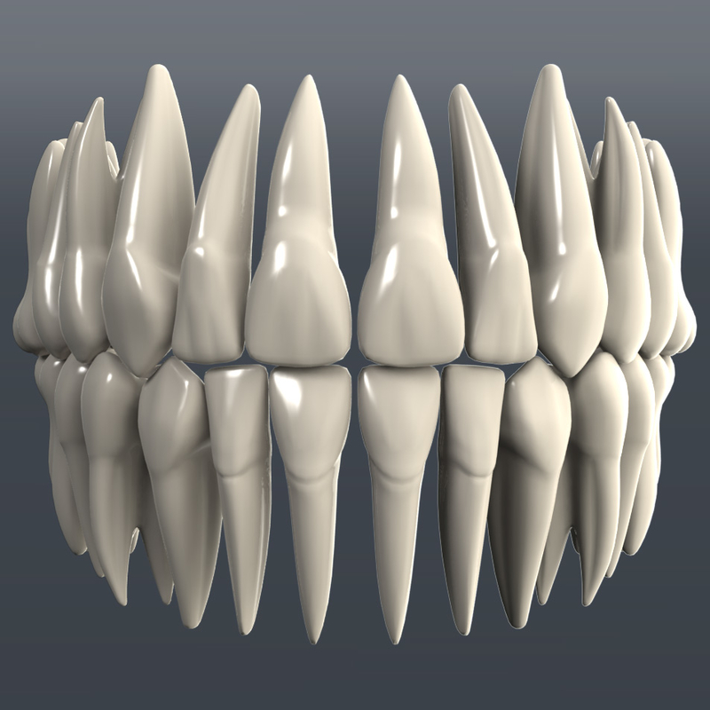 dental 3d model
