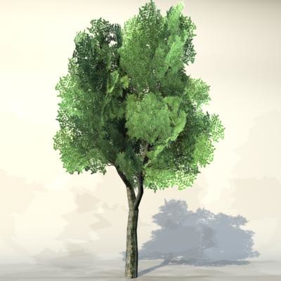pc tree 3d model
