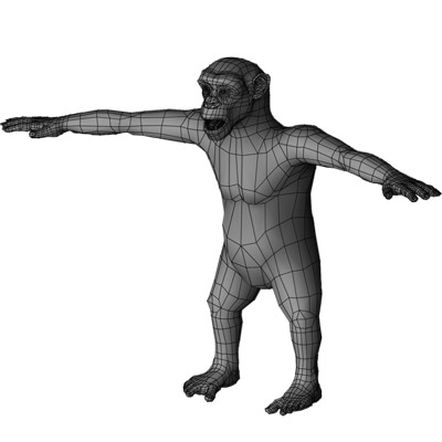 chimp primate 3d model